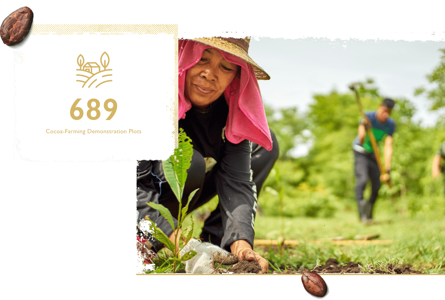 Cocoa life | Cadbury